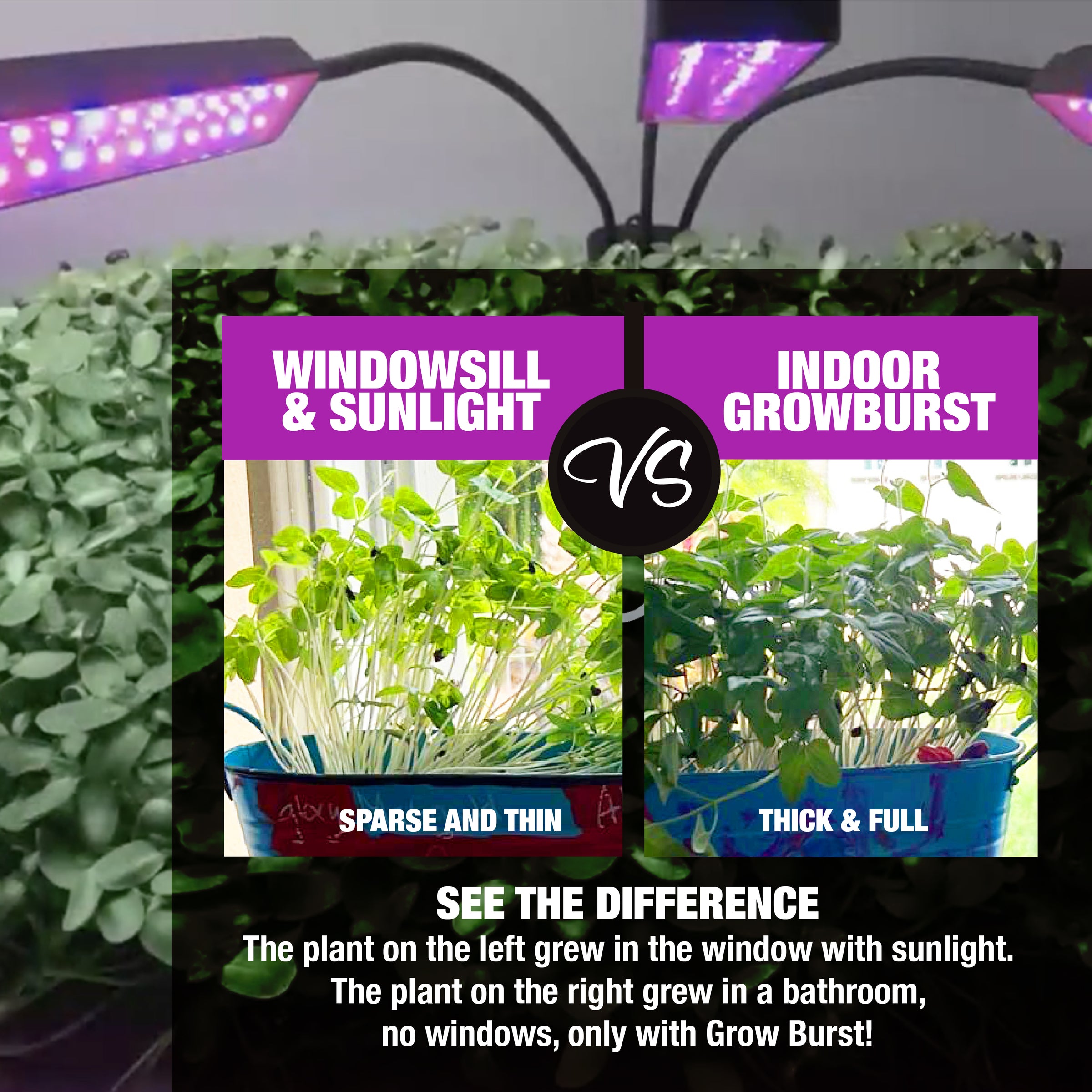 Bionic Grow Light - 2, 3 and 4-Head Adjustable Full Spectrum LED Grow ...